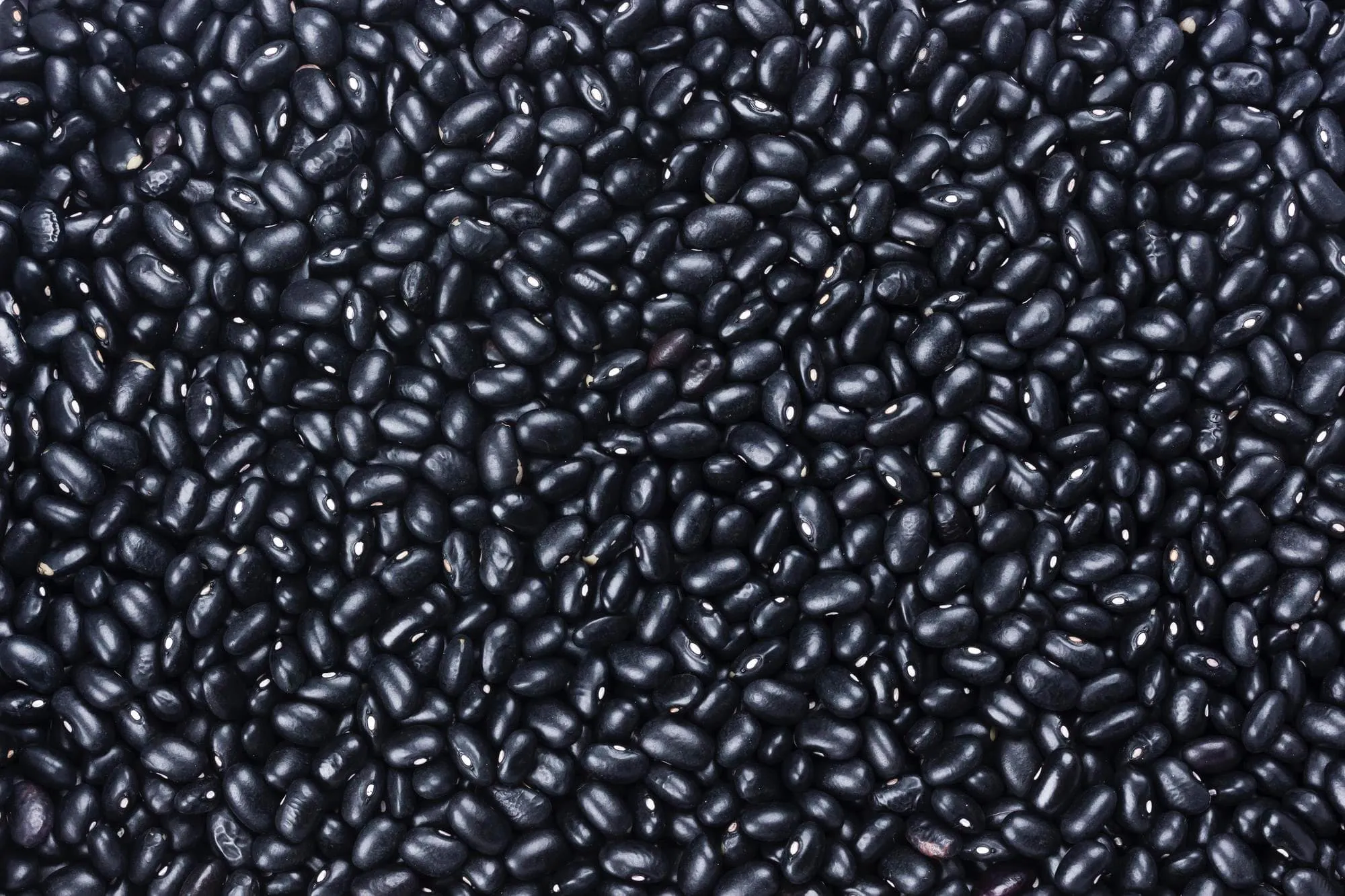 Are Turtle Beans Low FODMAP? The Full Guide