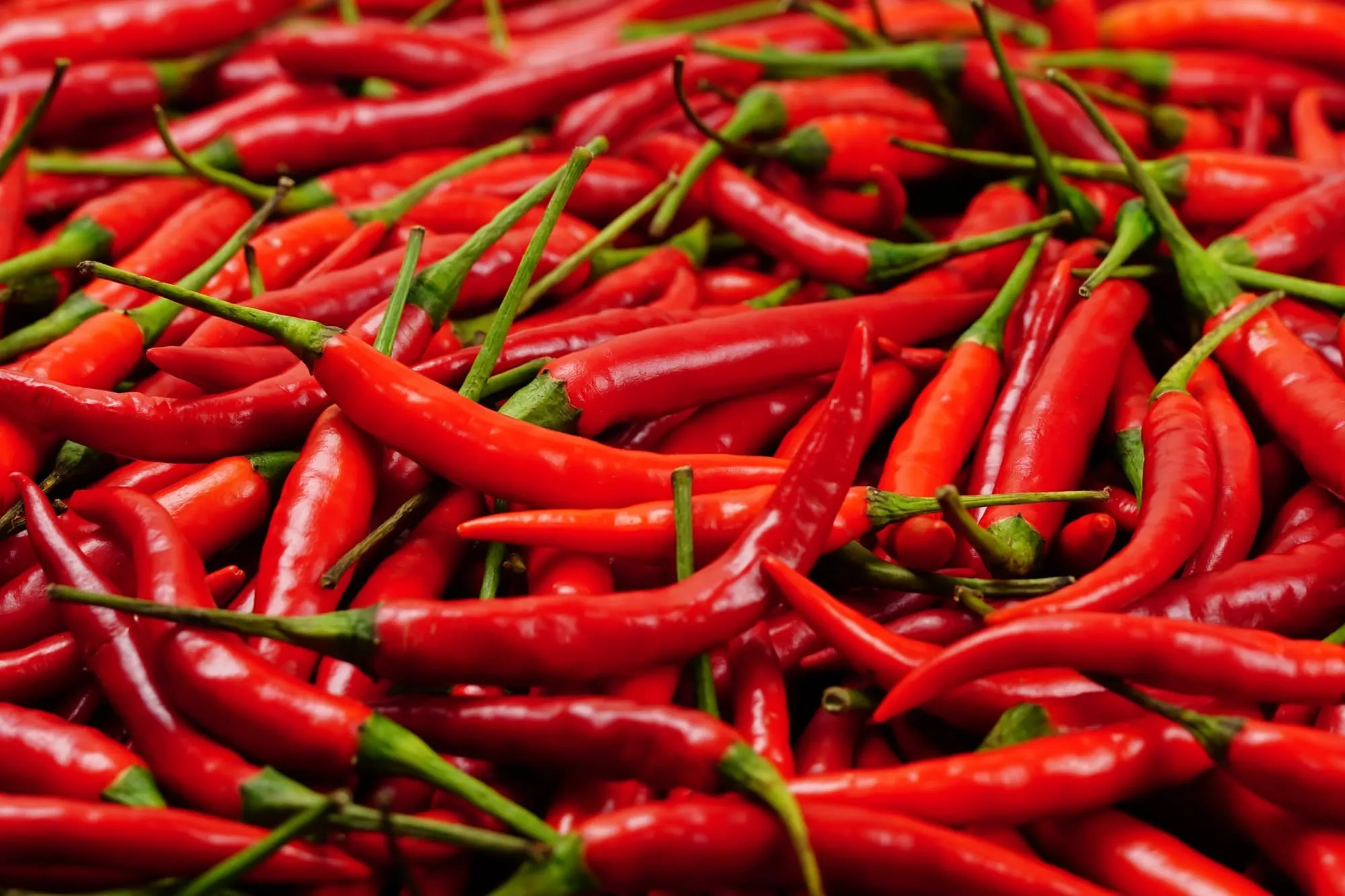 Is Black Pepper Low FODMAP? The Full Guide