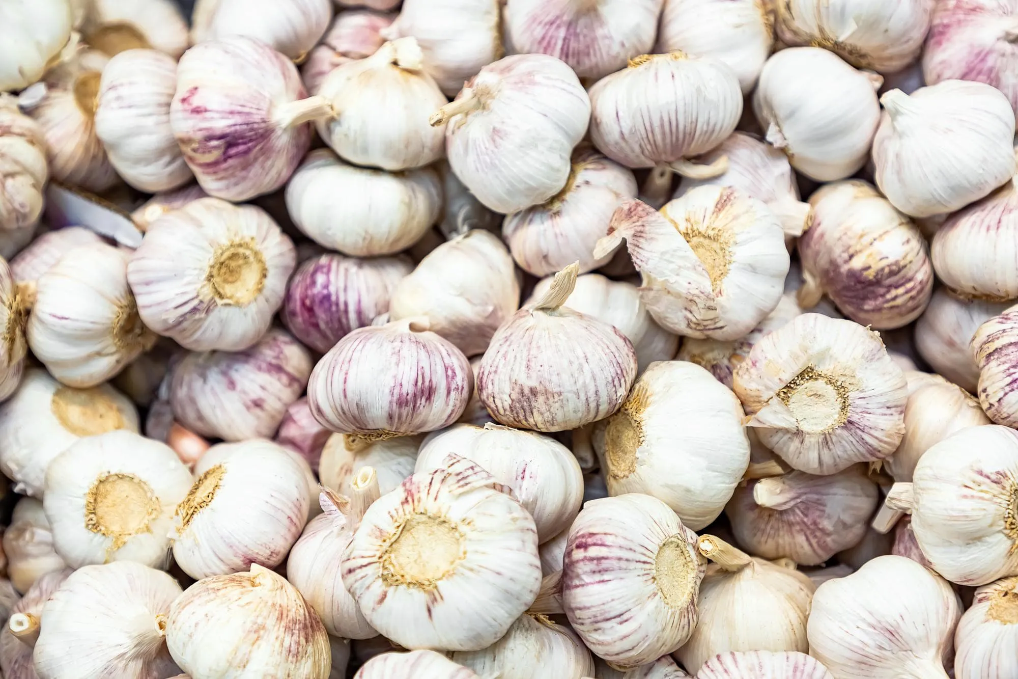 Is Dehydrated Garlic Low FODMAP? The Full Guide